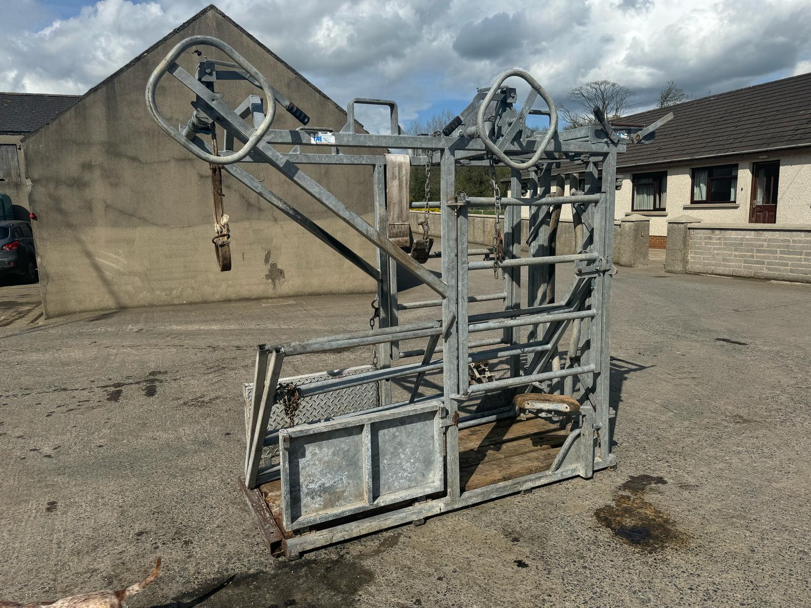 I A E foot trimming crush - Colin Cantley Farm Machinery